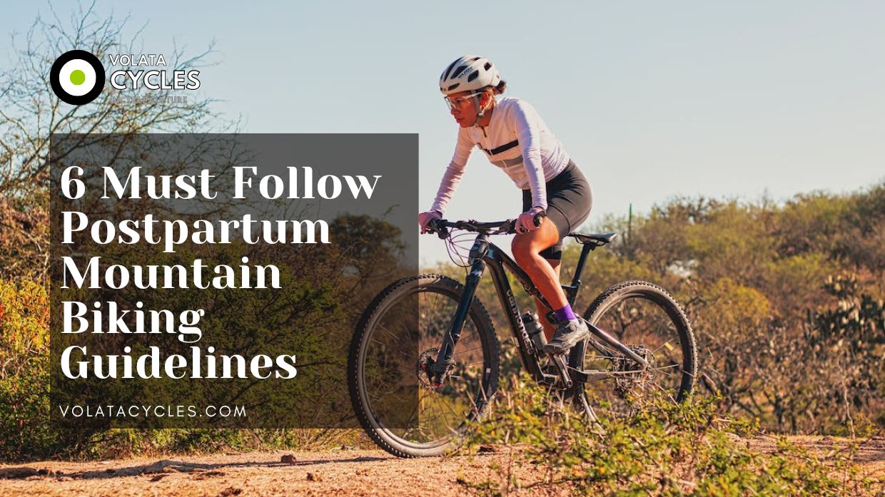 Ultimate Bicycles Resources, News And Reviews